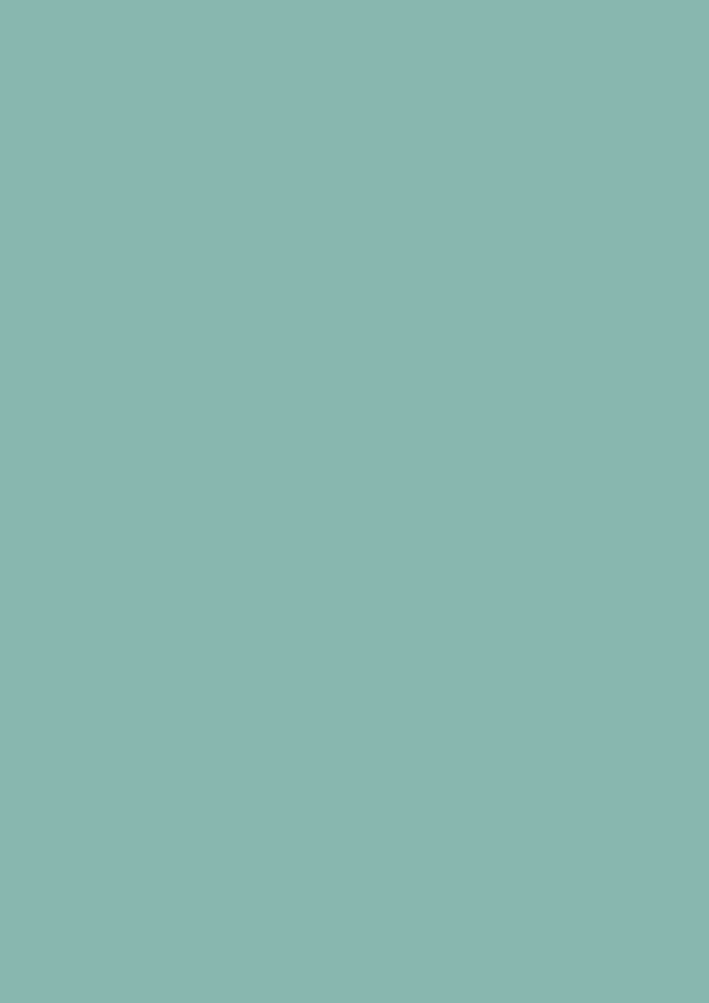 Farrow & Ball Sardine (CB8) - Paint-Paper.nl