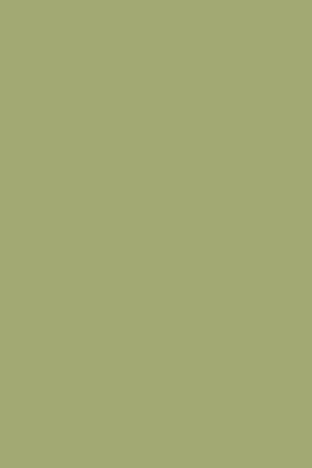 Farrow & Ball Saxon Green (80) - Archiefkleur - Paint-Paper.nl