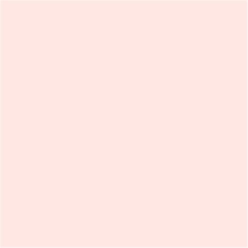 Farrow & Ball Middleton Pink (245) - Paint-Paper.nl